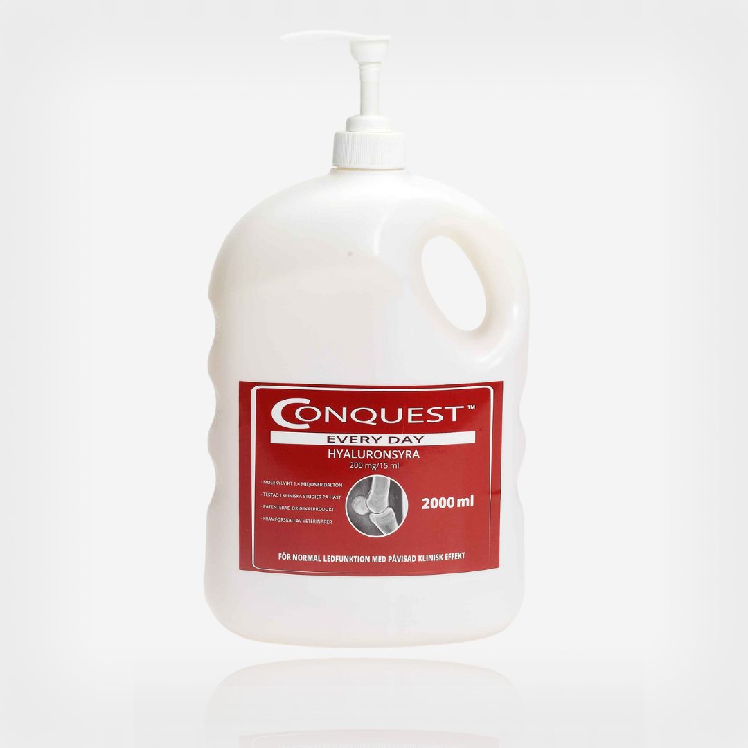 Conquest Every Day, 2000ml