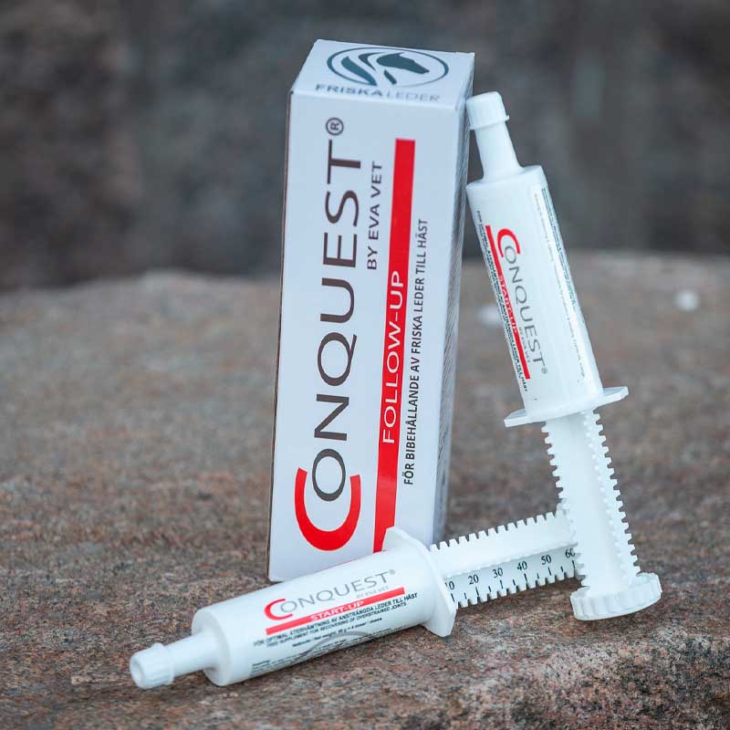 Conquest - Recovery Cure